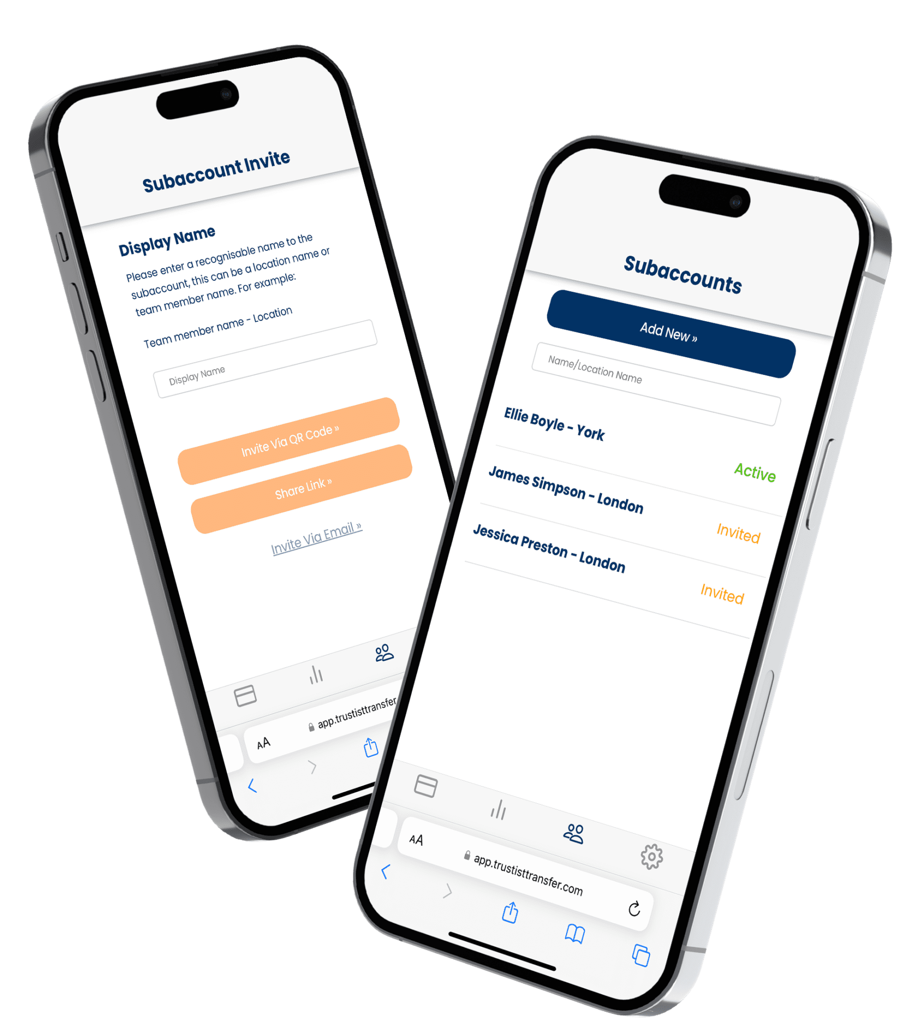 Increase Your Efficiency With Subaccounts - TrustistTransfer